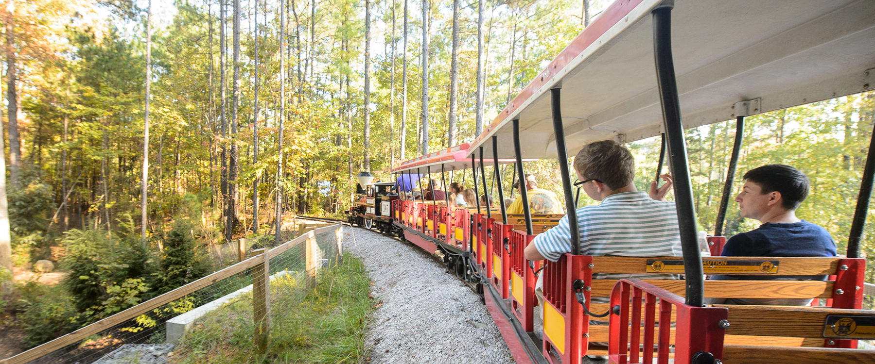 The Train - Museum of Life and Science