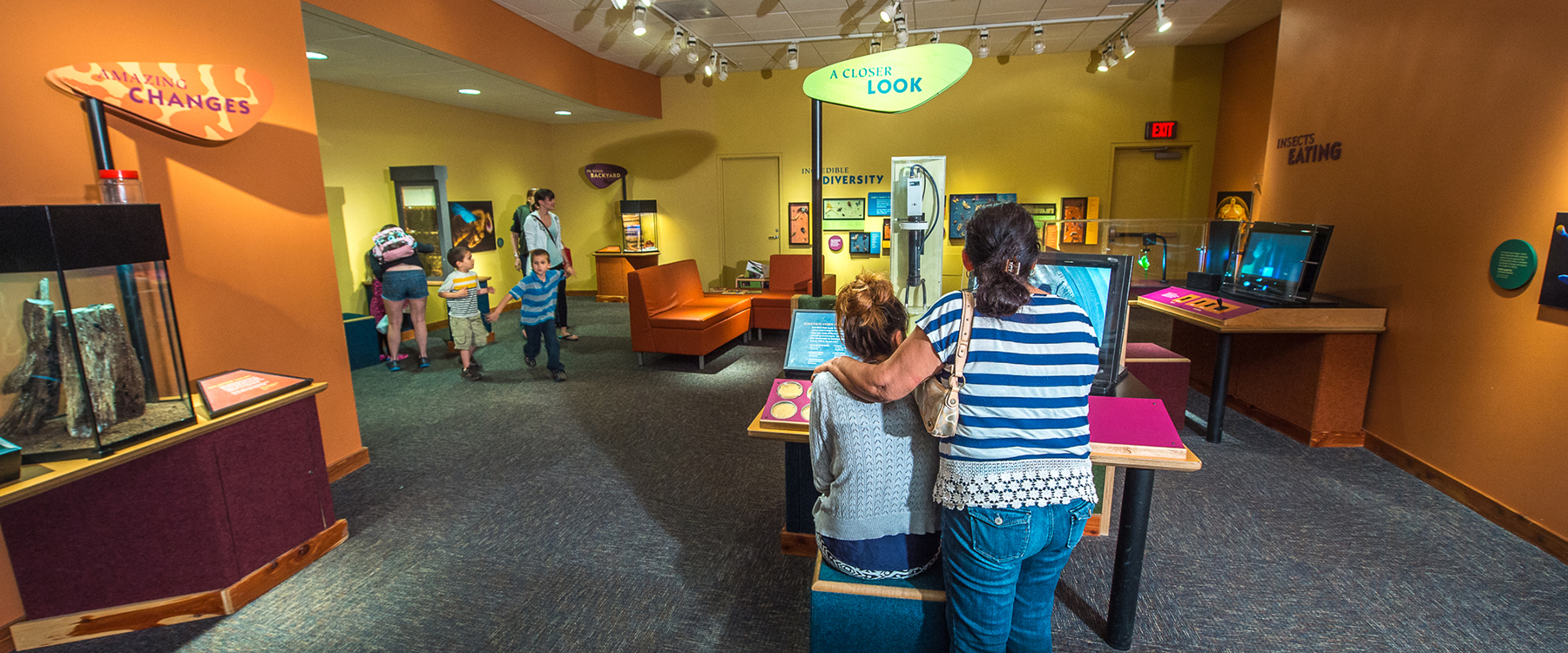 Insectarium - Museum of Life and Science