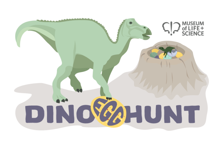 Dino Egg Hunt - Museum of Life and Science