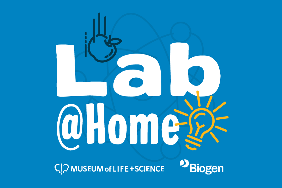 Lab@Home - Museum of Life and Science