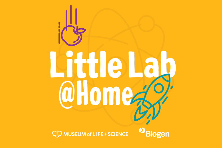 Lab@Home - Museum of Life and Science