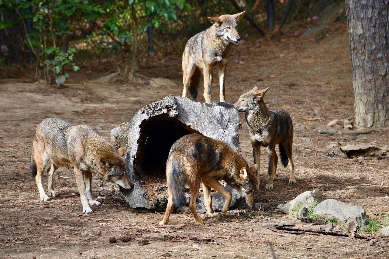 A step in the right direction - Museum of Life and Science