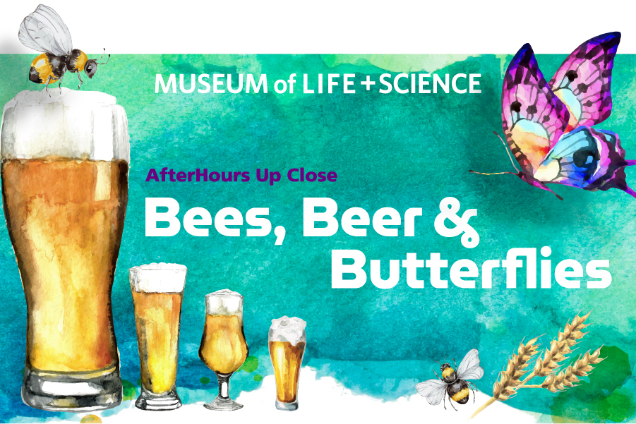 AfterHours: Bees, Beer & Butterflies - Museum of Life and Science