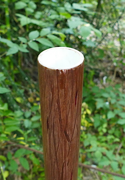 Frog Pipes - Museum of Life and Science
