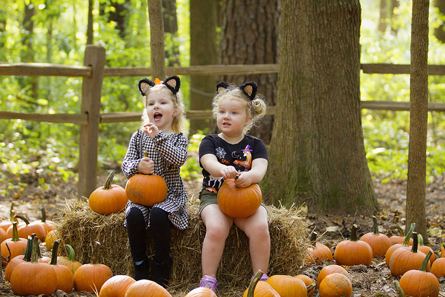 Pumpkin Patch Express - Museum of Life and Science