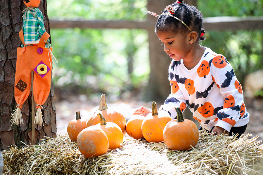 Pumpkin Patch Express - Museum of Life and Science