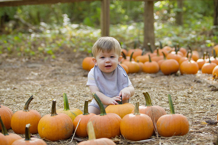 Pumpkin Patch Express - Museum of Life and Science