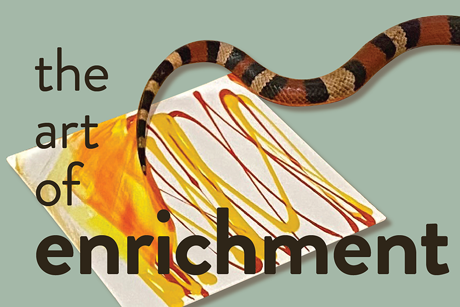 The Art of Enrichment - Museum of Life and Science
