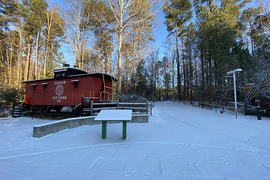 Snow Day - Museum of Life and Science