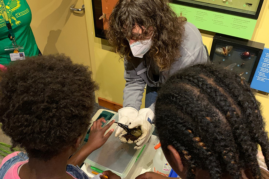 The Butterfly House challenge - Museum of Life and Science