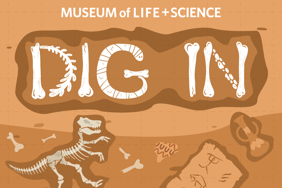 Dig In - Museum of Life and Science