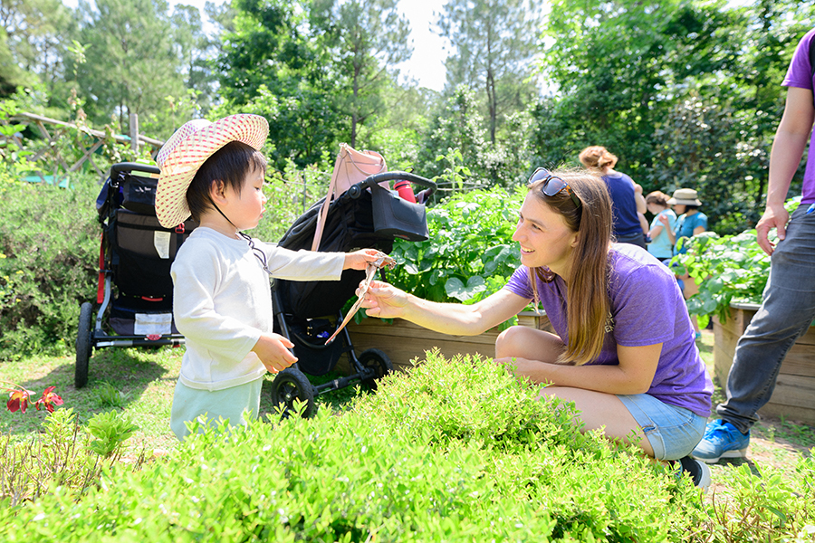 Innovation and Learning Fellows - Museum of Life and Science