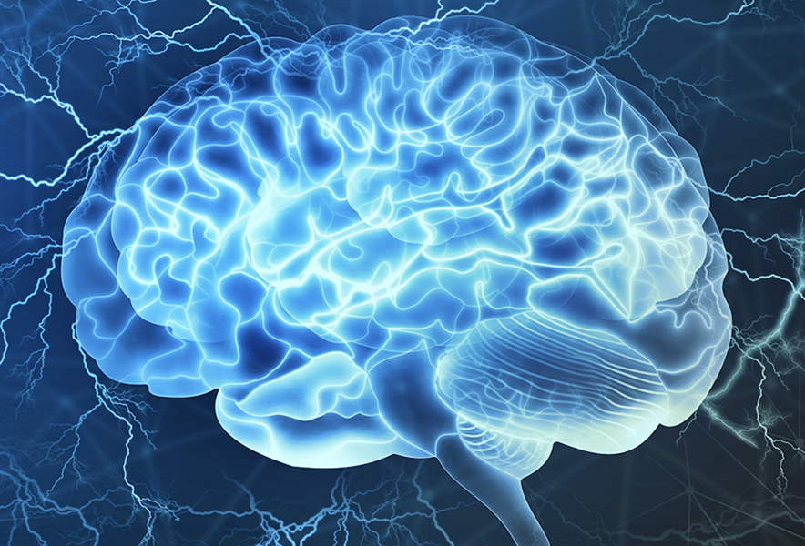 Brain-Powered - Museum of Life and Science