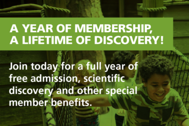 Insectarium - Museum of Life and Science