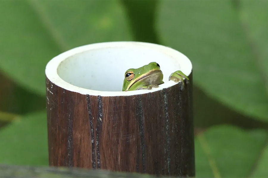 Feeling the heat? - Museum of Life and Science